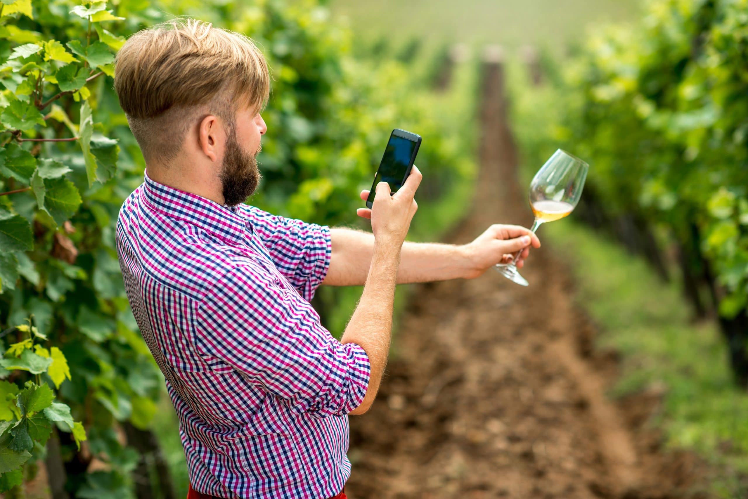 Alcohol In Social Media - Alcohol Help